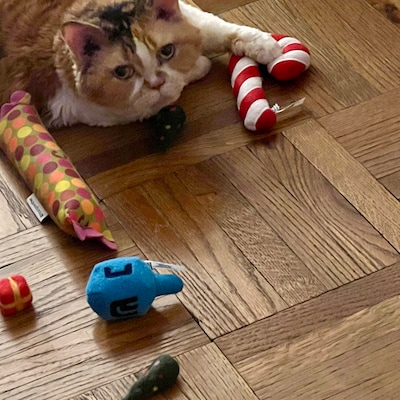 Custom Cat Toy Bundle - Etsy