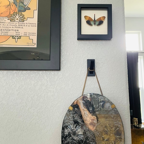 Framed Lanternfly Insect Display Pyrops Pyrorhyncha 6x6 - Etsy