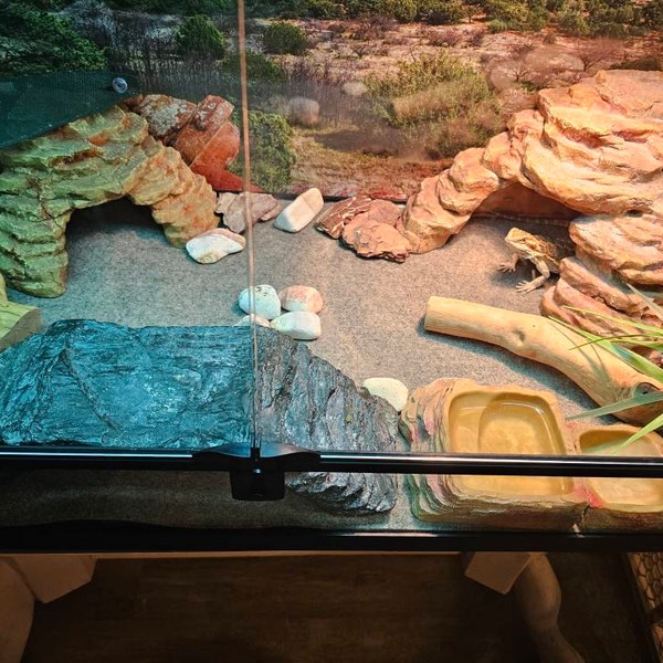 40 Gallon Red Rock Desert Background Petbackdrops - Aquarium Background ...