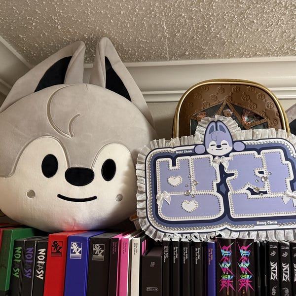 KPOP - Stray Kids SKZOO Han Jisung Skz Banner Handmade - Etsy