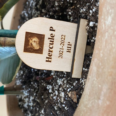 Custom Hamster Grave Stone/ Memorial Grave Marker/ for Hamster Loss ...