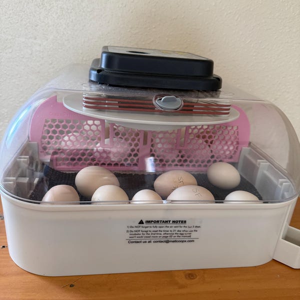 Divider for Maticoopx 30 Incubator | Egg Separator | Chick Hatching ...