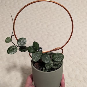 Copper Plant Trellis Houseplant Support Wire Stake - Etsy