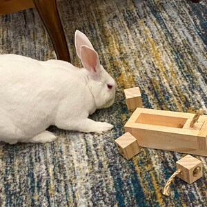 Rabbit Puzzle Treat Toy - Etsy