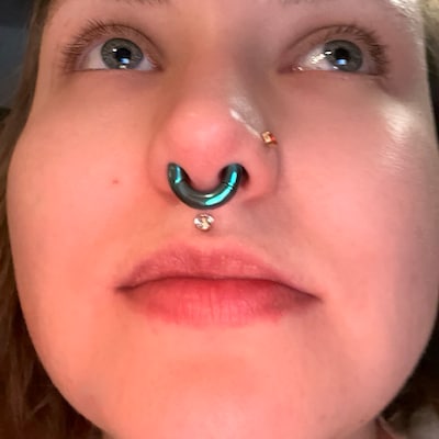 Large Spike Bridge Piercing, 14g Internally Threaded Straight Barbell ...