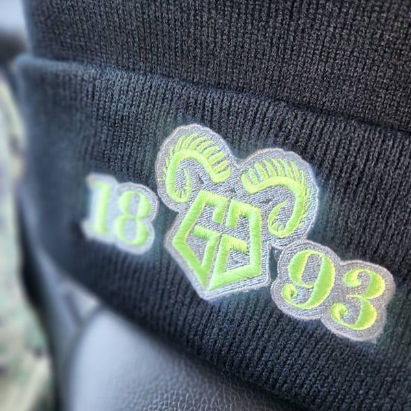 Embroidery Digitizing Services, 3D Puff Embroidery Digitizing, Hat Logo ...