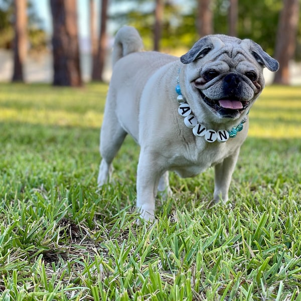 Retro Pug Specialty Pug Bead Necklace - Etsy
