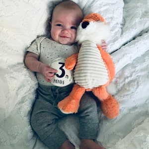 Baby Boy Rustic Month Stickers Boy Woodland Theme 1-12 Month | Etsy