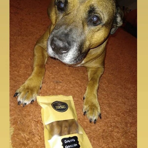 Camel Skin-natural Dog Treats- / Dog Birthday Gift/ Dried Dog Treats ...