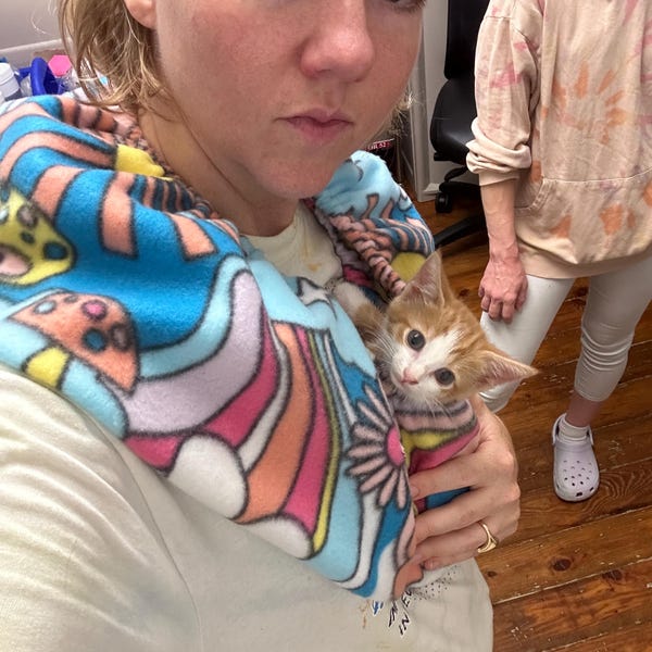 Critter Cuddler™ Small Animal Bonding Sling Pet Carrier | Handsfree ...