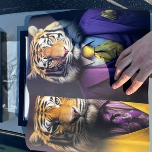 Razorback in Suit, University of Arkansas Poster, Football Fan Art ...