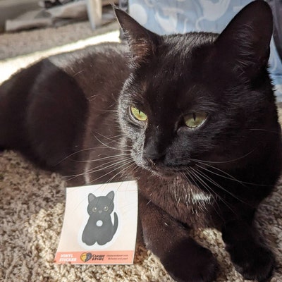 Cat Notepads Set of 4, Cute Cat Stationery Set, Notepad for Teacher ...