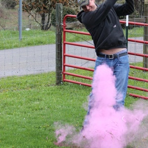 Golf Ball Powder & Confetti Gender Reveal Golf Ball in Pink or Blue | Etsy