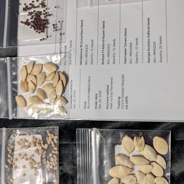 Dunja Organic (F1) Squash Seeds - Etsy