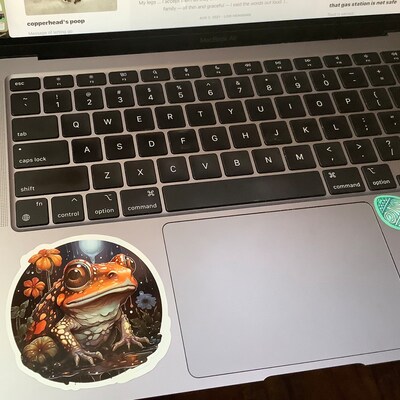 Debut Frog Vinyl Sticker Decal Water Bottles, Laptops, and Notebooks ...