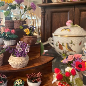 Miniature Daisies Flowers Bouquet Blue Daisies Miniature | Etsy