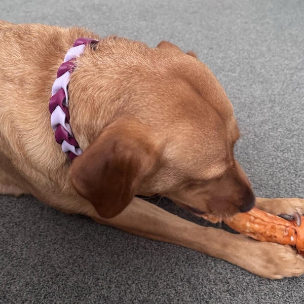 The Everlasting Chew Box! Tougher Natural Chews for Dogs. Longer ...