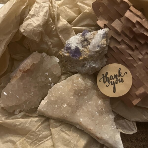 Great Lakes Jar | Sea Shells | Wildflowers | Crystals - Etsy