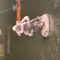 Pixie, Sprite, Fairies NPC Fey Miniature 28mm, 32mm Scales Also 60mm ...