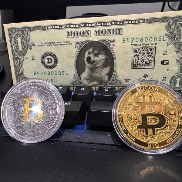 Dogecoin (DOGE) Galaxy Coin by Cryptochips | Custom Physical Crypto ...