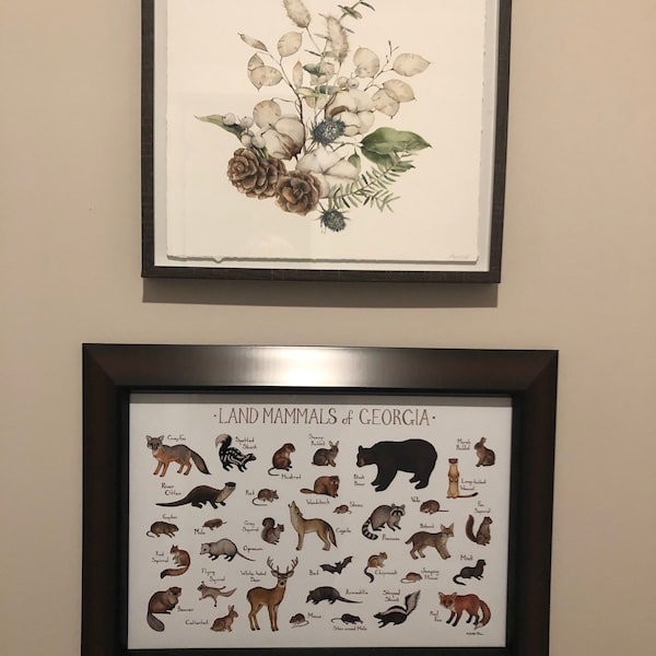 Georgia Land Mammals Field Guide Art Print / Animals of Georgia ...
