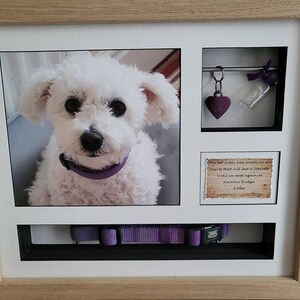 Personalized Embroidered Ashes Pouch Pet Ashes Keepsake - Etsy UK