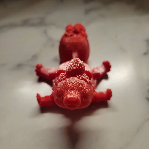 SQUISHY Desert Rain Frog. Cute Butt Frog Fidget - Etsy