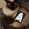 Gulch Punk Patch - Etsy