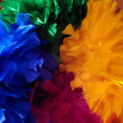 Large Rainbow Feather Boa, PRIDE Parade Feather Boa, Feather Boa for ...