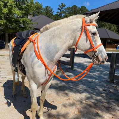 12' LEAD ROPE W/ Parelli Snap for Natural Horse Training - Etsy