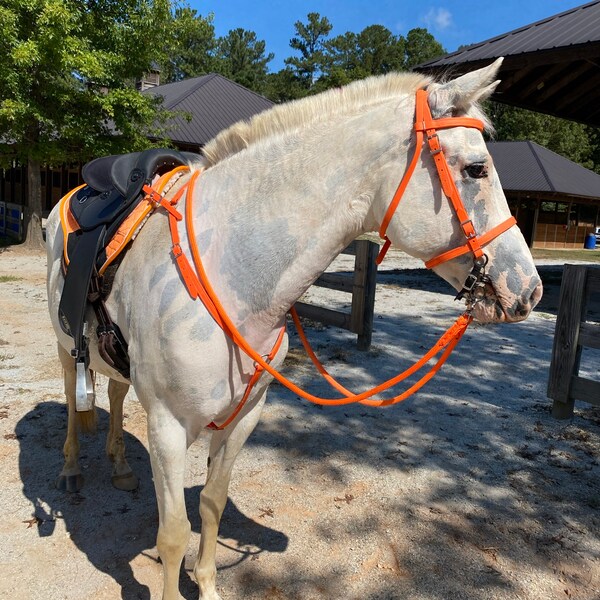 12' LEAD ROPE W/ Parelli Snap for Natural Horse Training - Etsy