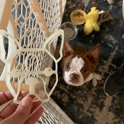 Cole the Boston Terrier Boston Terrier Cookie Cutter Dog Face Cookie ...