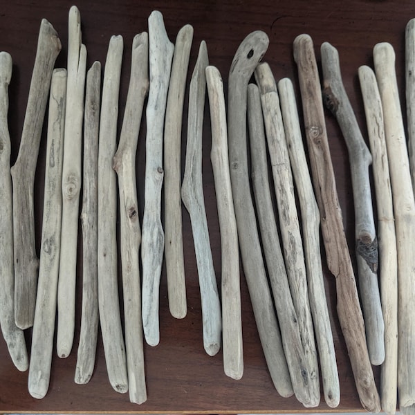 25 Piece of Small Surf Tumbled California Driftwood Sticks Beach Decor ...