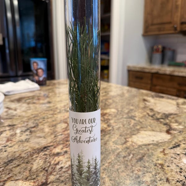 Baby Shower Favors | Gift Tree Favors | Seedling Shower Favor ...