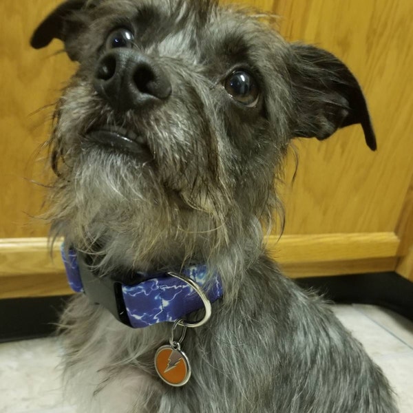 Flash Lightning Enamel and Stainless Steel Personalized Custom Pet Tag ...