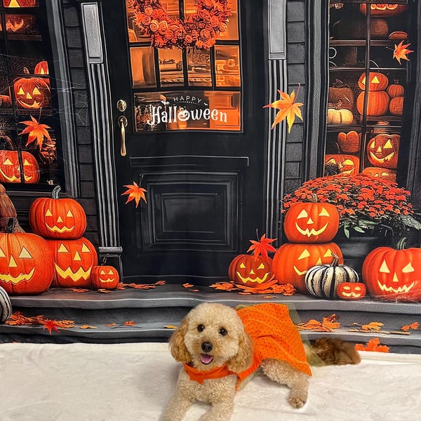 Pool Party Bikini Tutus/party Bikini Tutus/party Bikini Veils/swimsuit ...