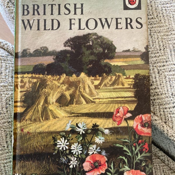 Very Pretty Vintage Flower Book an Illustrated A to Z of Flowers. One ...