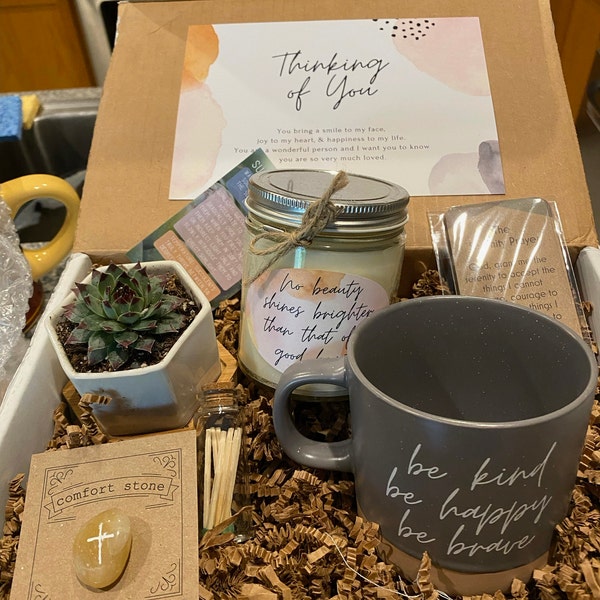 Thinking of You Care Package • Care Package for Her • Live Succulent ...