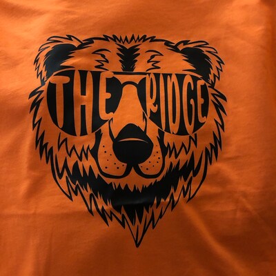 Custom School Grizzly Bear T-shirt, Personalized School Mascot Shirts ...