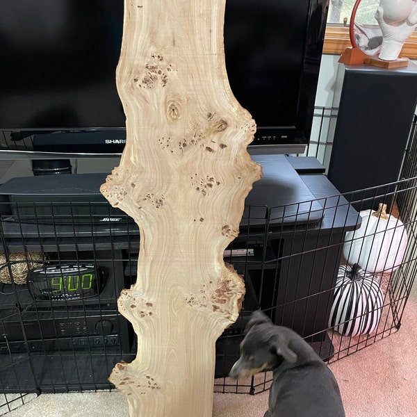 3D Wood Wall Panel, Wall Wooden Slices Mosaic Panel, Slices Wood Wall ...