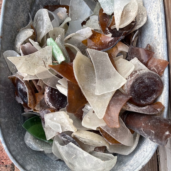 Shell Scoop, Rock Hunt Scoop, Shark Tooth Sifter, Sand Scoop, Rock ...