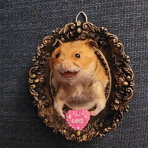 Taxidermy Mouse Head Mount Trophy Tiny Mouse or Rat Magnetic Victorian ...