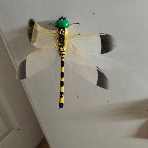 Ladybug, Bug Magnet, Small Size Handmade Clay Magnet Insect Figurine ...