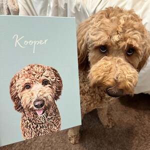 Custom Pet Portraits Using Pet Photo Personalized Digital Dog Portraits ...