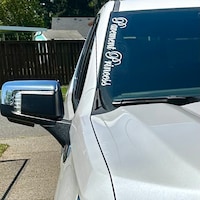 CHASING TAIL Dogs Running Deer VINYL Decal Sticker Diesel - Etsy