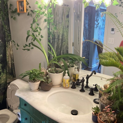 Corpse Bride Jewelry Box - Etsy