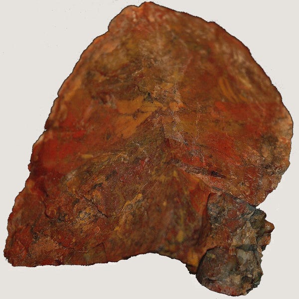 Delightful Freckled Calamity Jasper * - Etsy