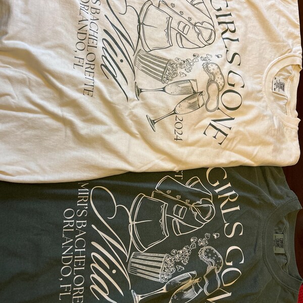 Princess Diaries PNG, Custom Princess Diaries Bach PNG, Princess ...