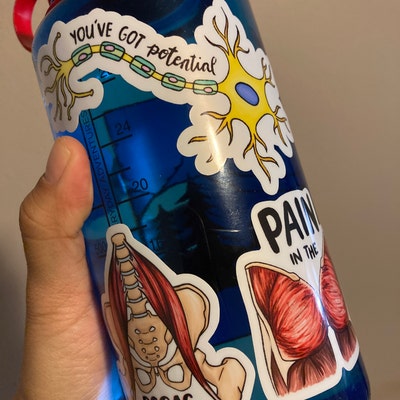 What the PEC Glossy Vinyl Sticker for Water Bottles, Laptops, Cars, and ...