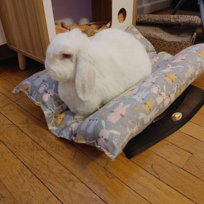 Bunny Beds - Etsy